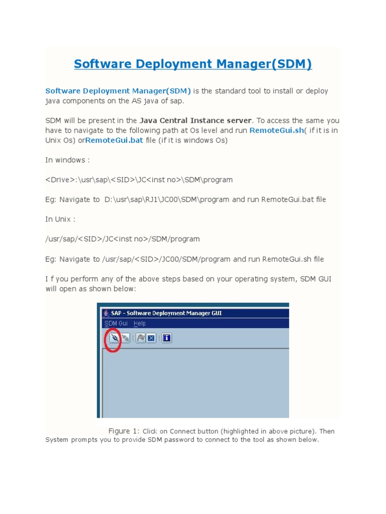 Sap - SDM Tool | PDF | Operating System | Computing Platforms