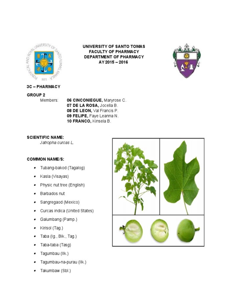 Plant Material of Tubang Bakod | PDF | Horticulture And Gardening ...