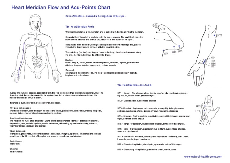 Heart Meridian Chart | Heart | Organ (Anatomy)