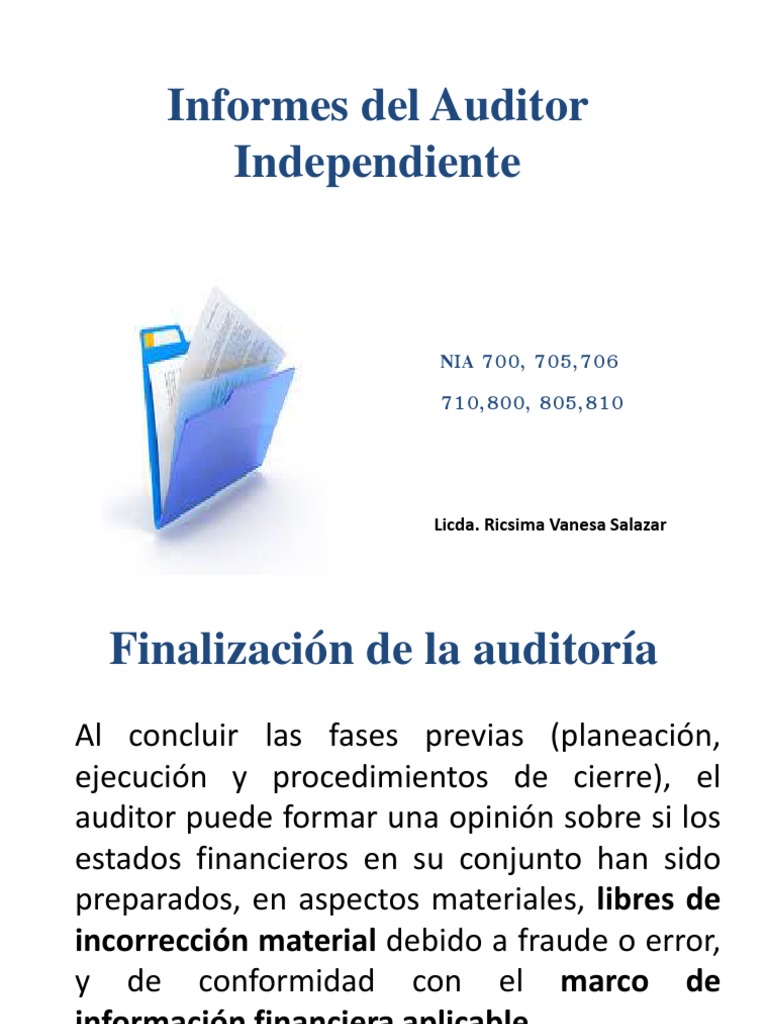 Informes Del Auditor Independiente | PDF | Auditoría financiera | Contralor