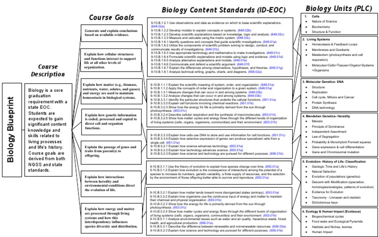 Biology Blueprint | Evolution | Genetics