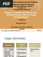 Origen Embrionario de Los Tejidos | PDF | Embrión | Biología del desarrollo