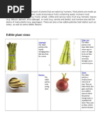 Edible Parts of Plants Explained | PDF | Fruit | Vegetables