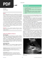 Ultrasound Measurement Cheat Sheet | PDF | Vein | Heart