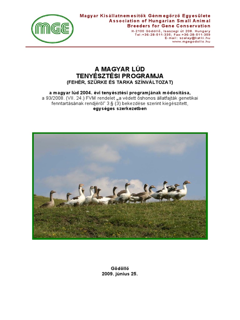 A Magyar Lúd | PDF