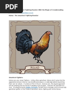 Gamefowl Conditioning Guide | PDF | Oat | Rooster