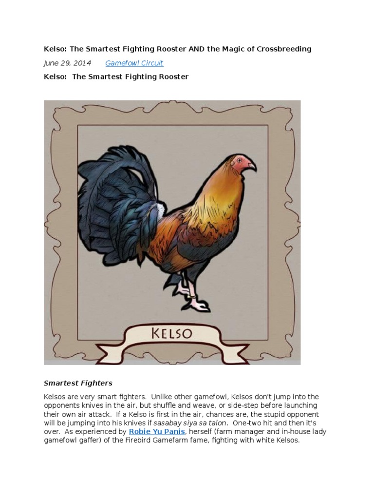 Kelso | Rooster | Poultry