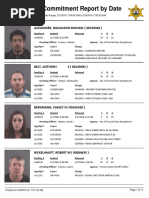 Peoria County Jail Booking Sheet | PDF | Law Enforcement | Crime & Violence