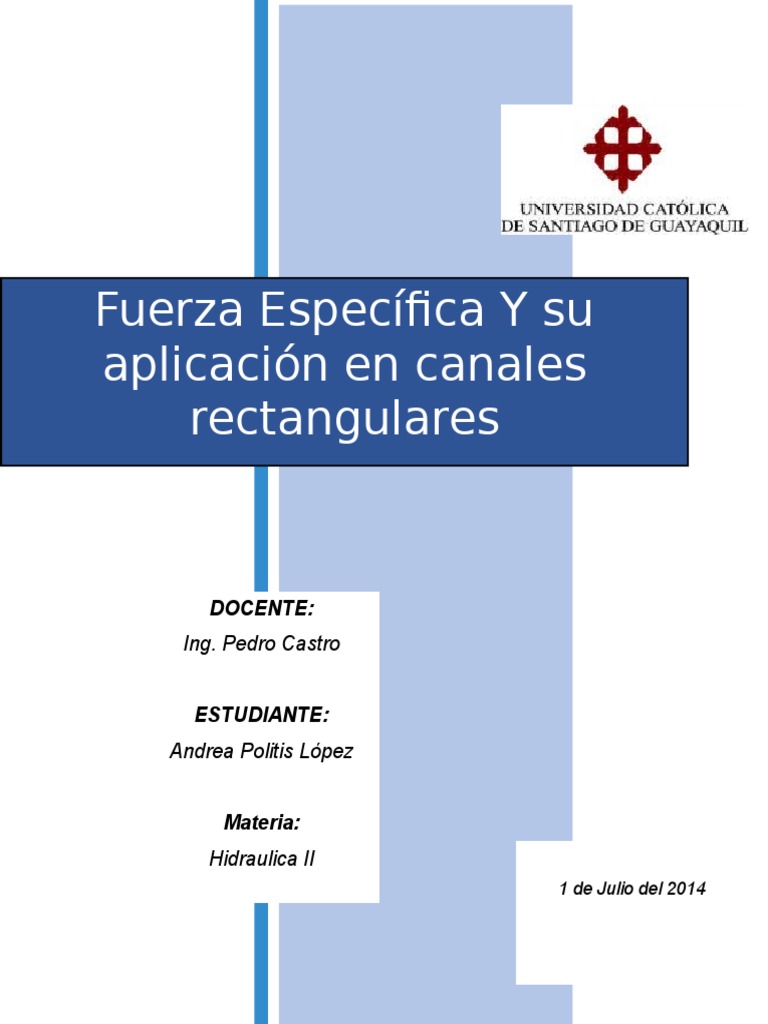 Fuerza Especifica | PDF | Impulso | Fuerza