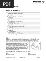 Petrel Workflow Tools: 5 Day Introduction Course | PDF | 3 D Modeling | Fault (Geology)