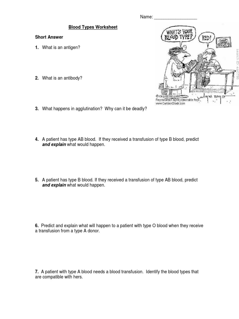 Blood Types and Transfusion Worksheet | PDF | Science & Mathematics