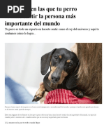 Perro Con Cara de Asco Meme - Buscar Con Google | PDF | Red social ...