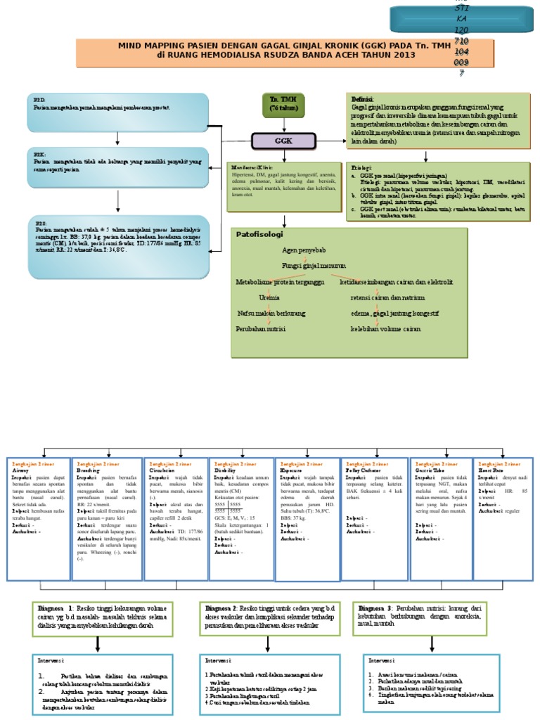 Mapping Hemodialisis | PDF