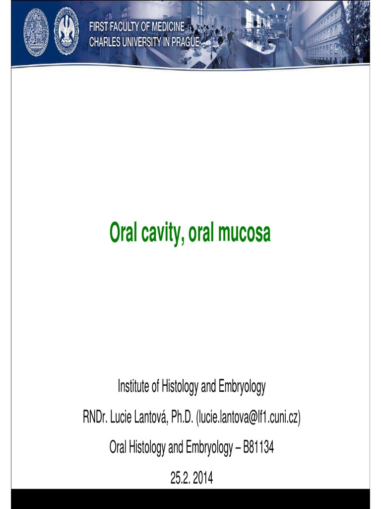 Oral Cavity and Mucosa Overview | PDF | Epithelium | Animal Anatomy