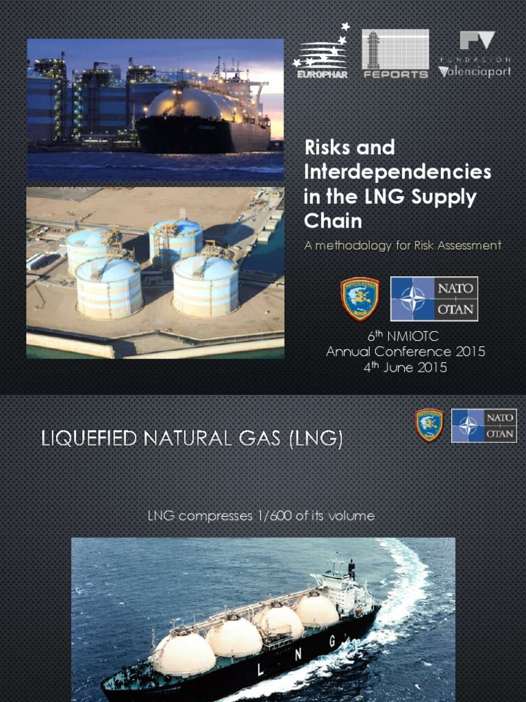 Assessing Risks and Interdependencies in the LNG Supply Chain Through a ...