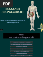 Anatomie Van de Heup | PDF