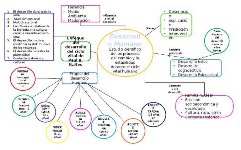 Mapa mental del desarrollo humano | PDF