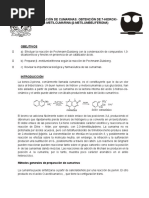 Práctica 11. Desarrollo Bacteriano Por Vaciado en Placa | PDF | Unidad ...