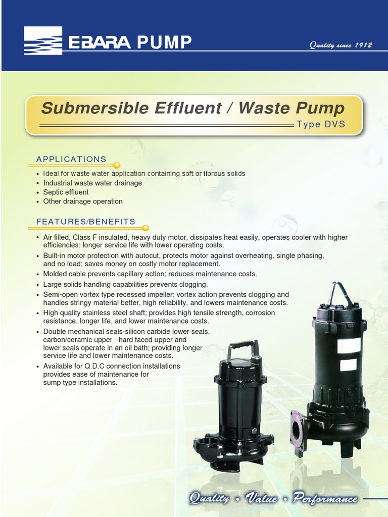 Katalog Ebara | PDF | Bearing (Mechanical) | Pump