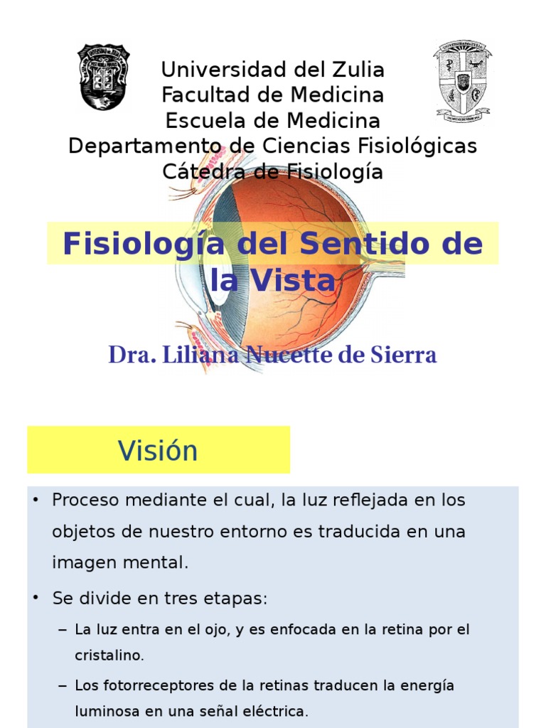Fisiología y Óptica del Ojo Humano | PDF | Ojo humano | Percepción visual