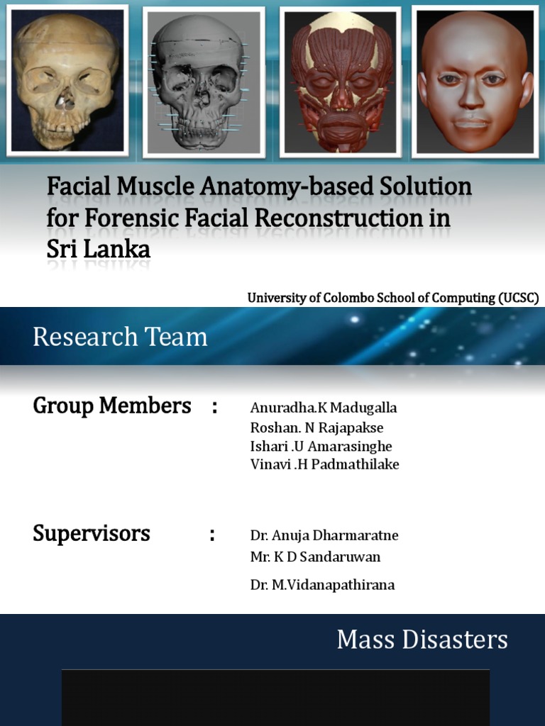 Facial Muscle Anatomy | PDF | 3 D Computer Graphics | Image Scanner
