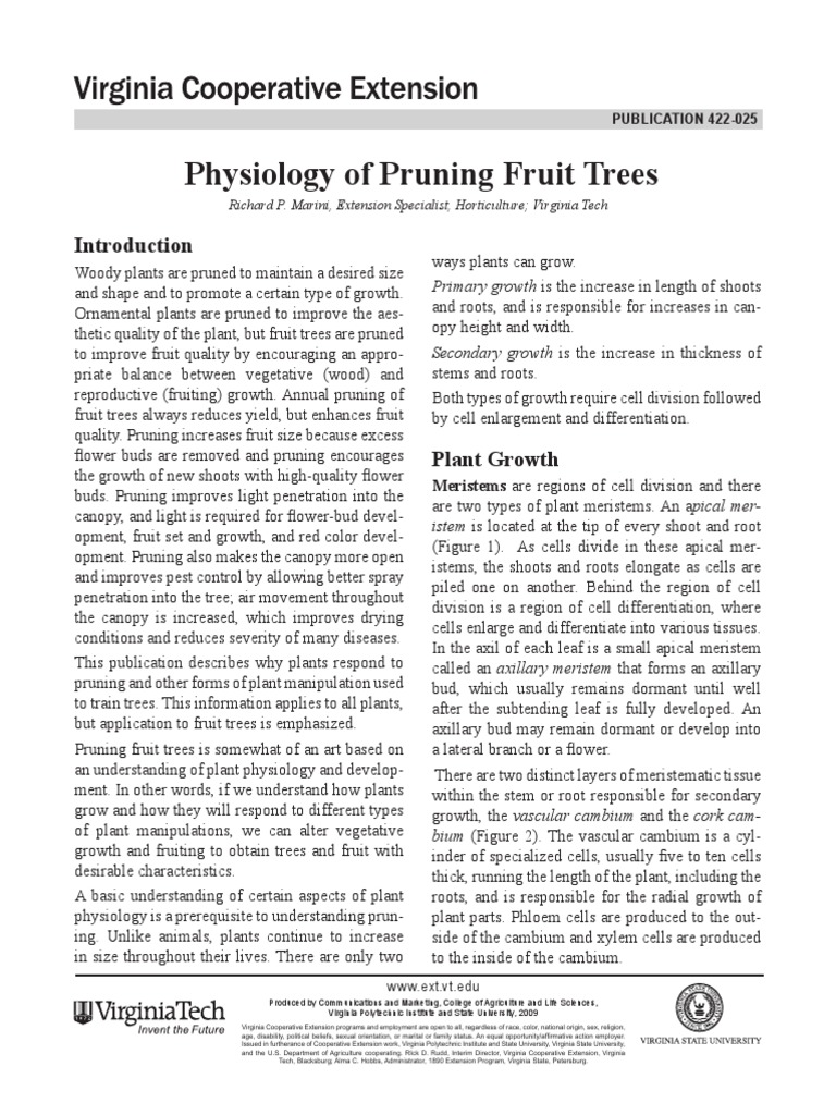 Physiology of Pruning Fruit Trees VCE 422-025 | PDF | Pruning | Auxin