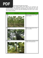 TOKOH ILMUWAN DAN PENEMU BIDANG FISIKA 50 Orang | PDF | Sains & Matematika