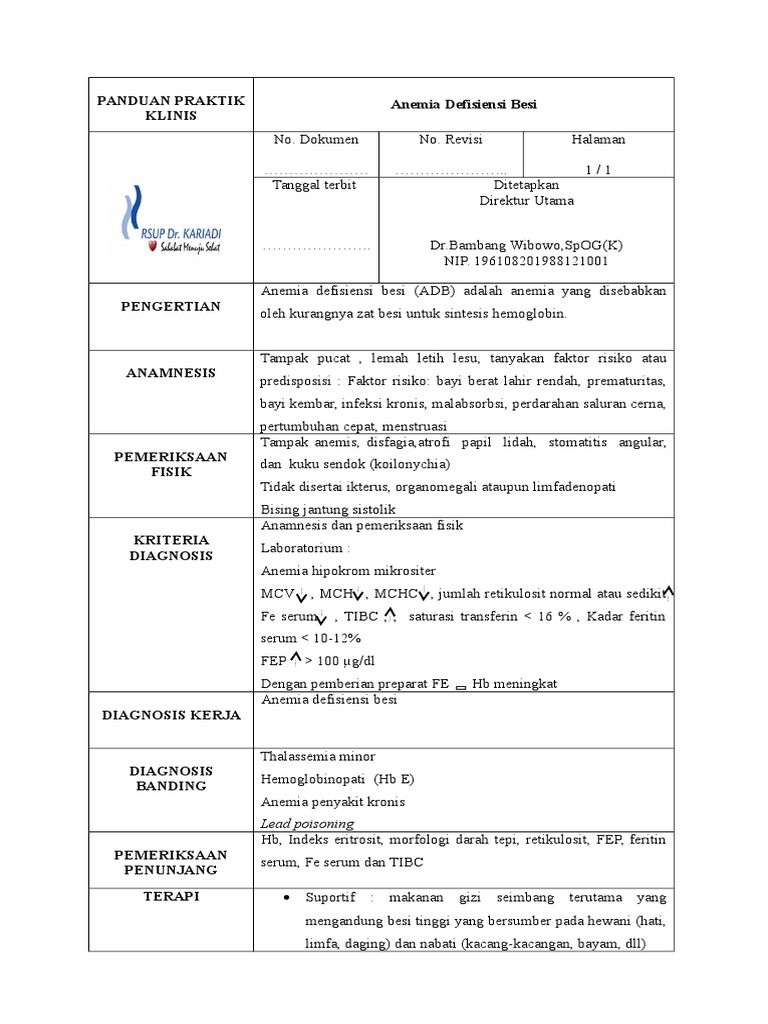 PPK - Anemia Defisiensi Besi | PDF