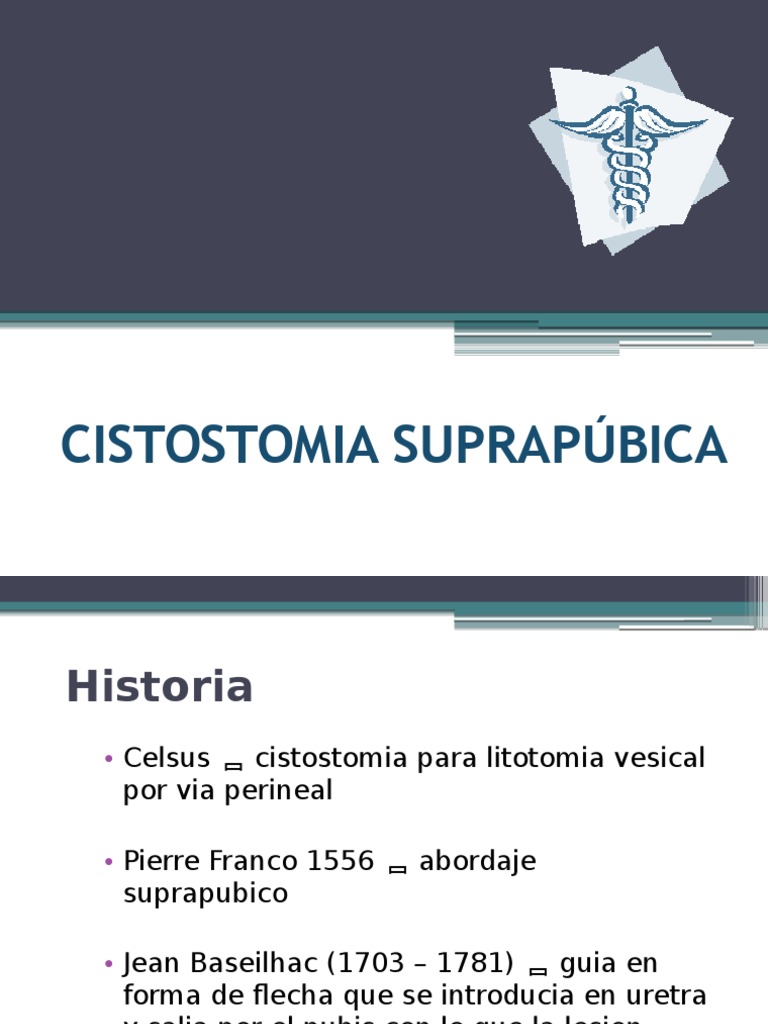 Cistostomía Suprapúbica: Técnicas y Cuidados | PDF | Vejiga urinaria ...