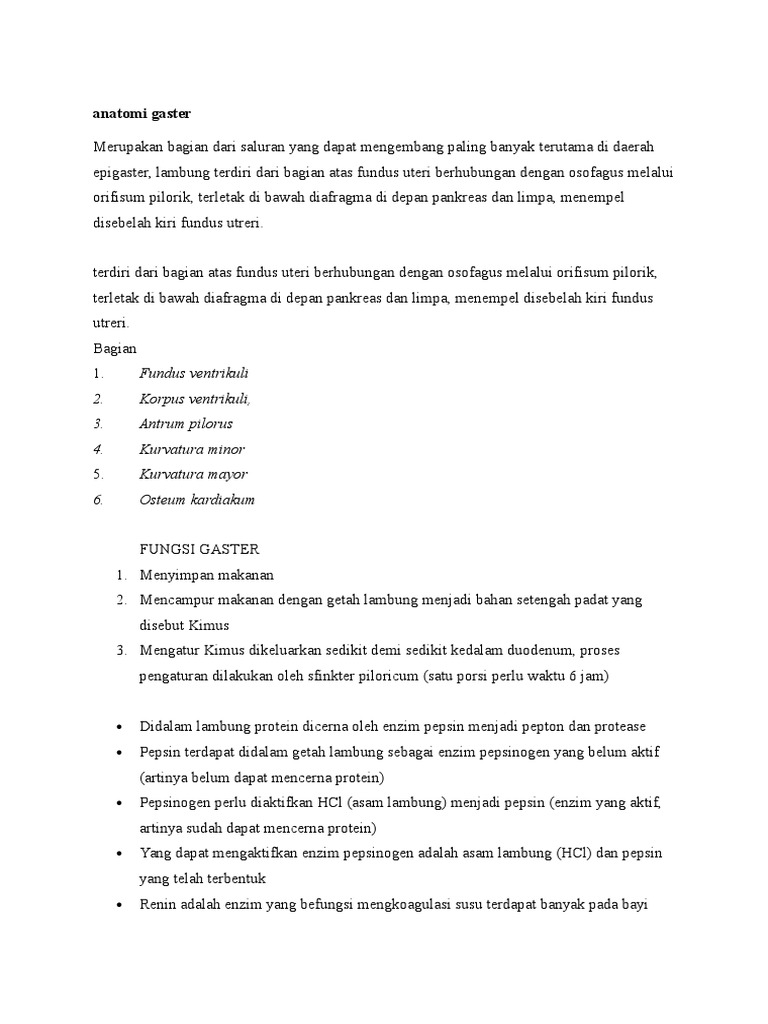 Anatomi Gaster | PDF