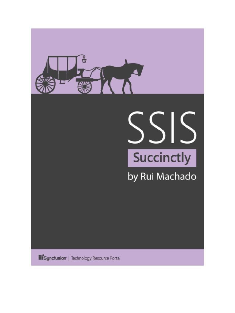 SSIS Succinctly | PDF