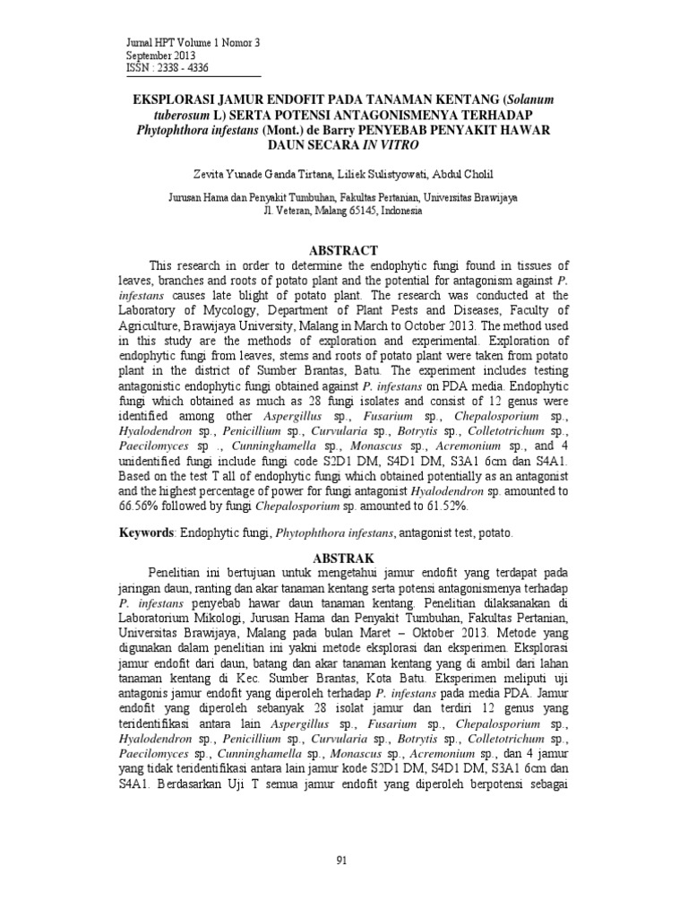 Antagonistic Endophytic Fungi in Potatoes | PDF | Fungus | Organisms