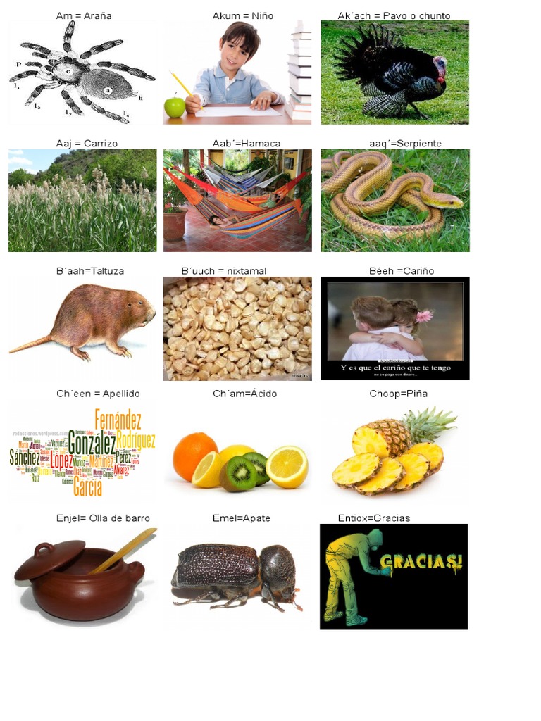 Abecedario en Poqomchi 3 de Cada Una | PDF