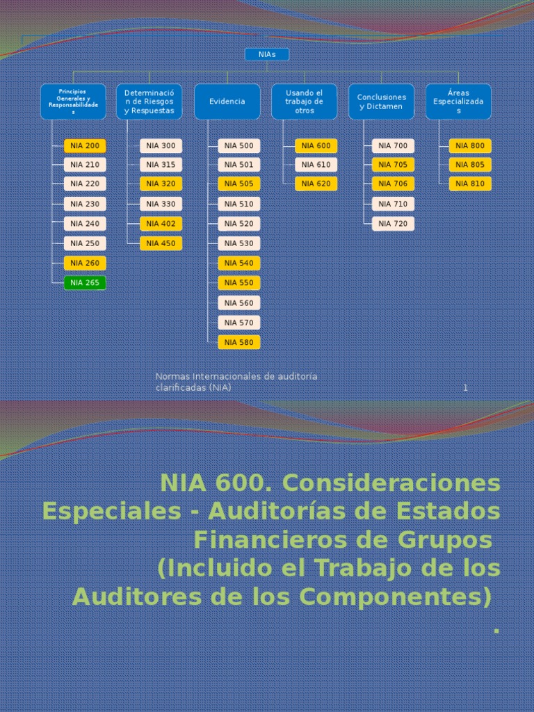Resumen NIA 600 700 800 | Auditoría financiera | Contralor