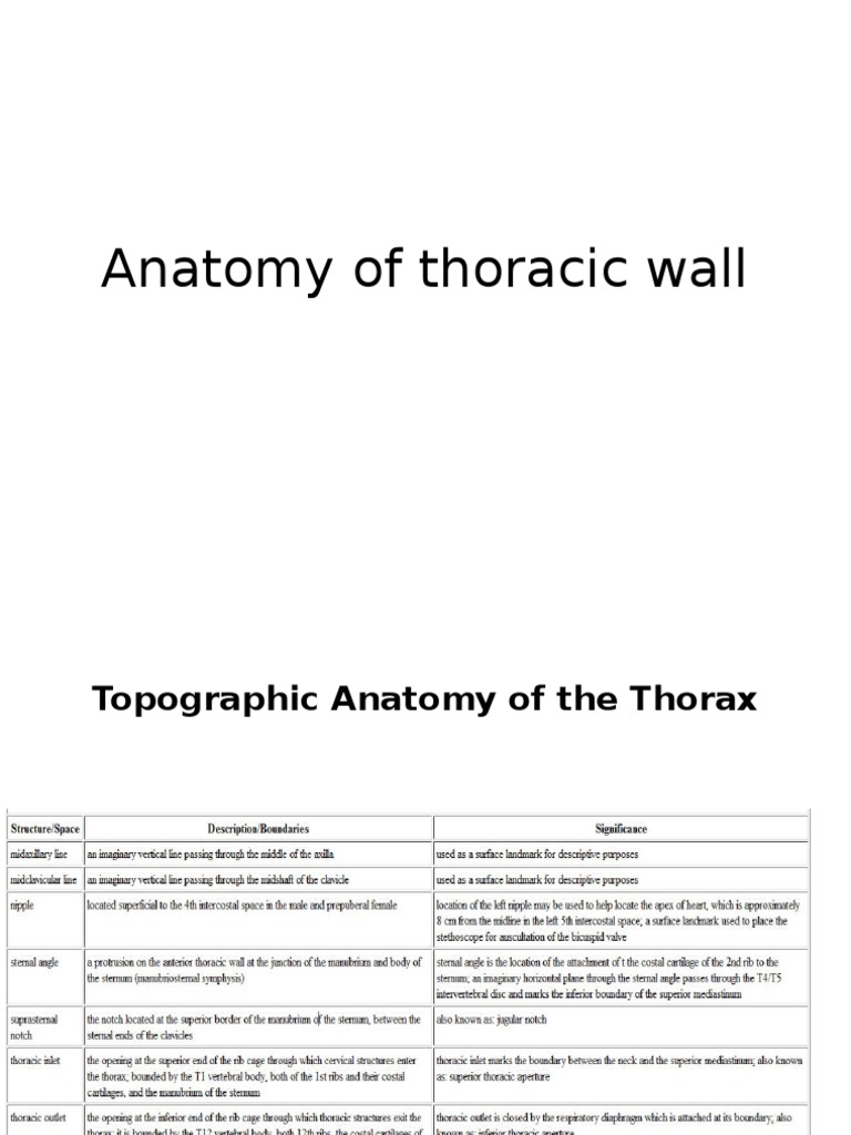 Anatomy of Thoracic Wall | PDF | Thorax | Vertebra