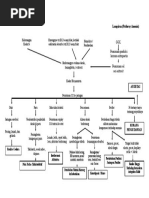 Pathway Anemia dan Dampaknya | PDF