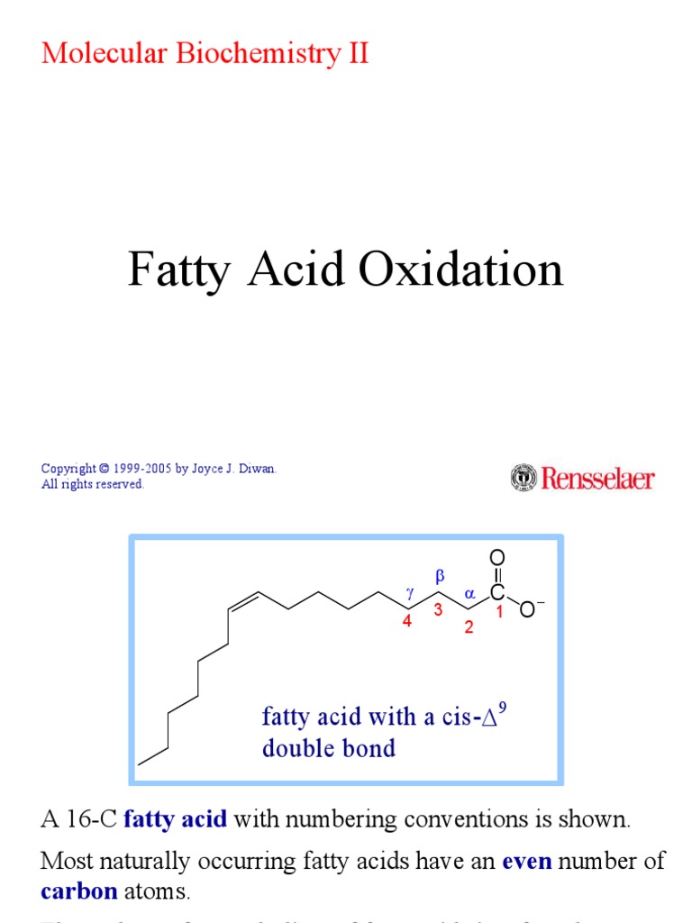 Fatty Acid Oxidation