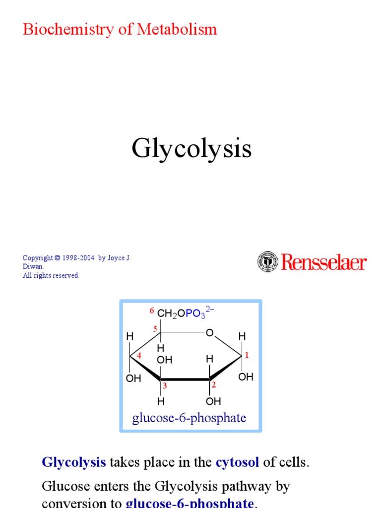 Glycolysis: Biochemistry of Metabolism | Download Free PDF | Glycolysis ...