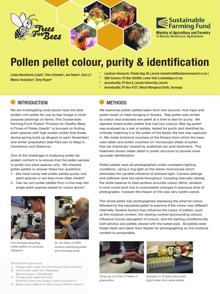 Pollen Pellet Colour Poster | PDF | Honey Bee | Pollen