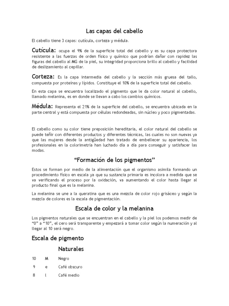Las Capas Del Cabello | PDF | Azul | Color