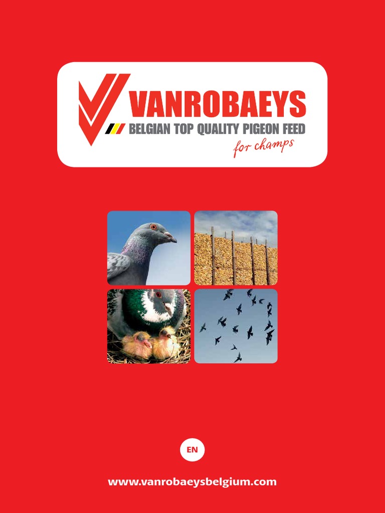 A Comprehensive Marketing Document for Vanrobaeys Pigeon Feed | PDF | Maize | Osteoarthritis
