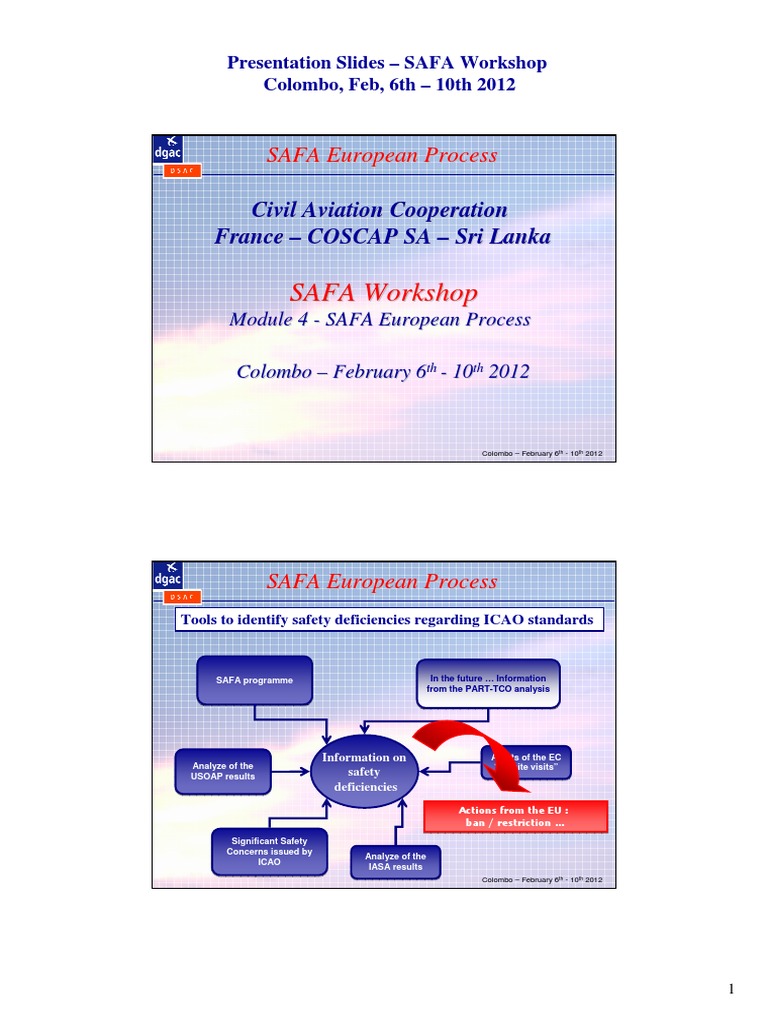 Aviation Safety Workshop Insights | PDF | Aviation Safety | Transport ...