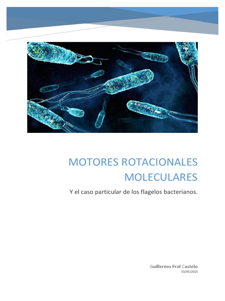 Motores Moleculares | PDF | Las bacterias | Movimiento (física)