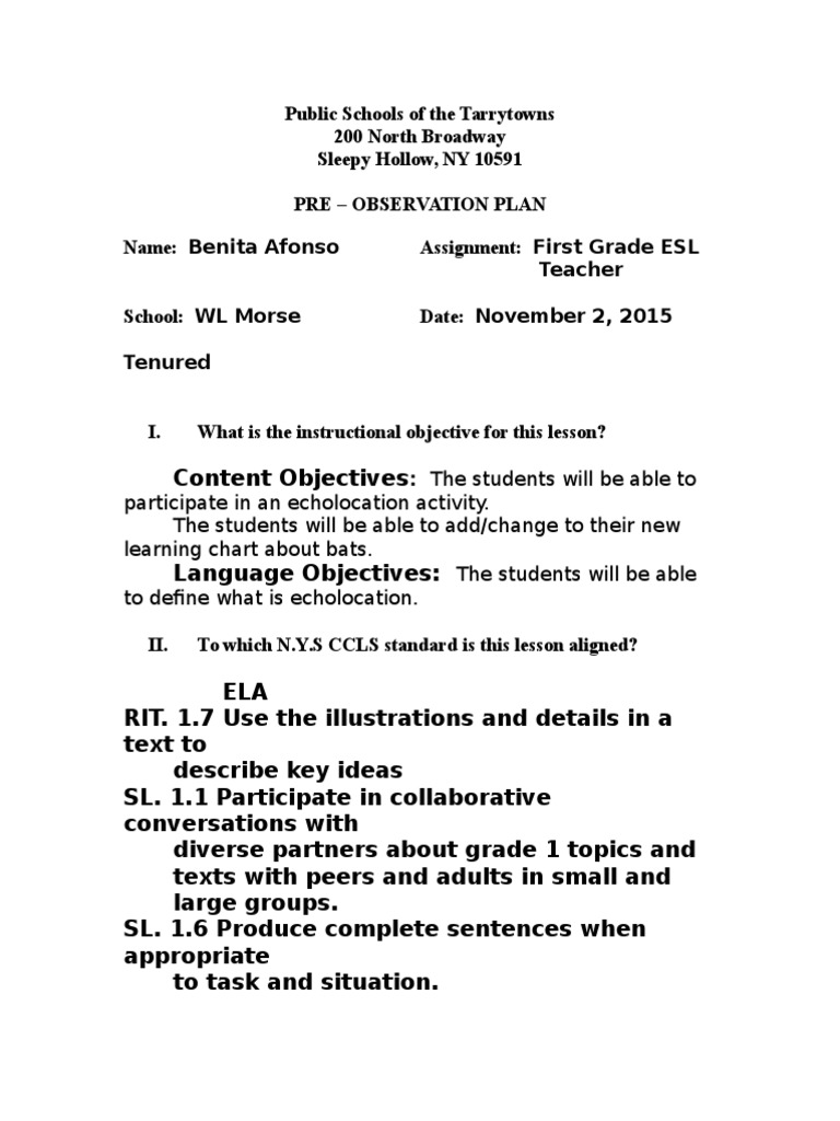 Bats Echolocation Lesson | PDF | Bat | Vocabulary