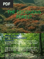 Farming The Woods - Sample From Chapter 4: Food From The Forest | PDF ...