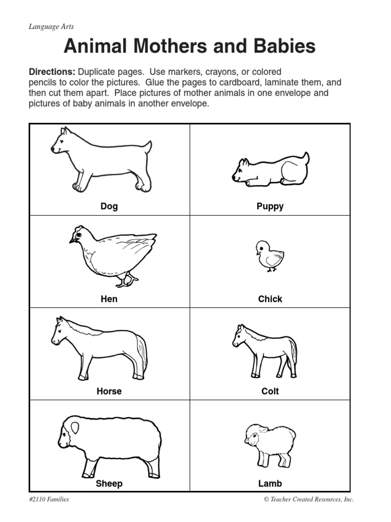 Animal Mothers and Babies Activity | PDF