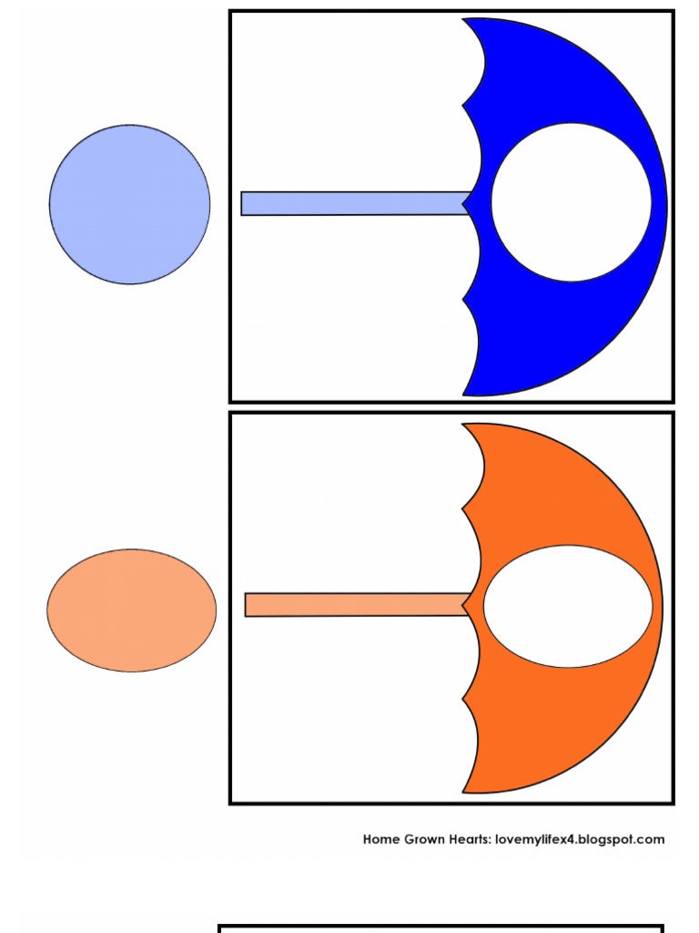 Spring Showers: Shape Matching | PDF