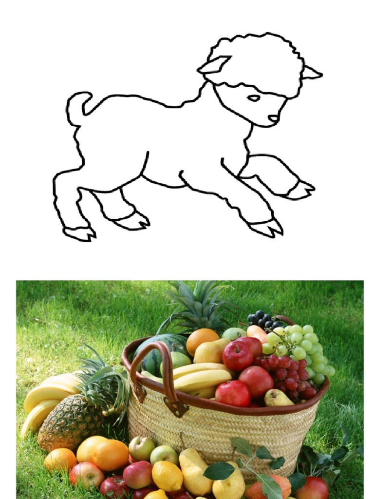 Dibujos Animados Fiesta de Primicias | PDF