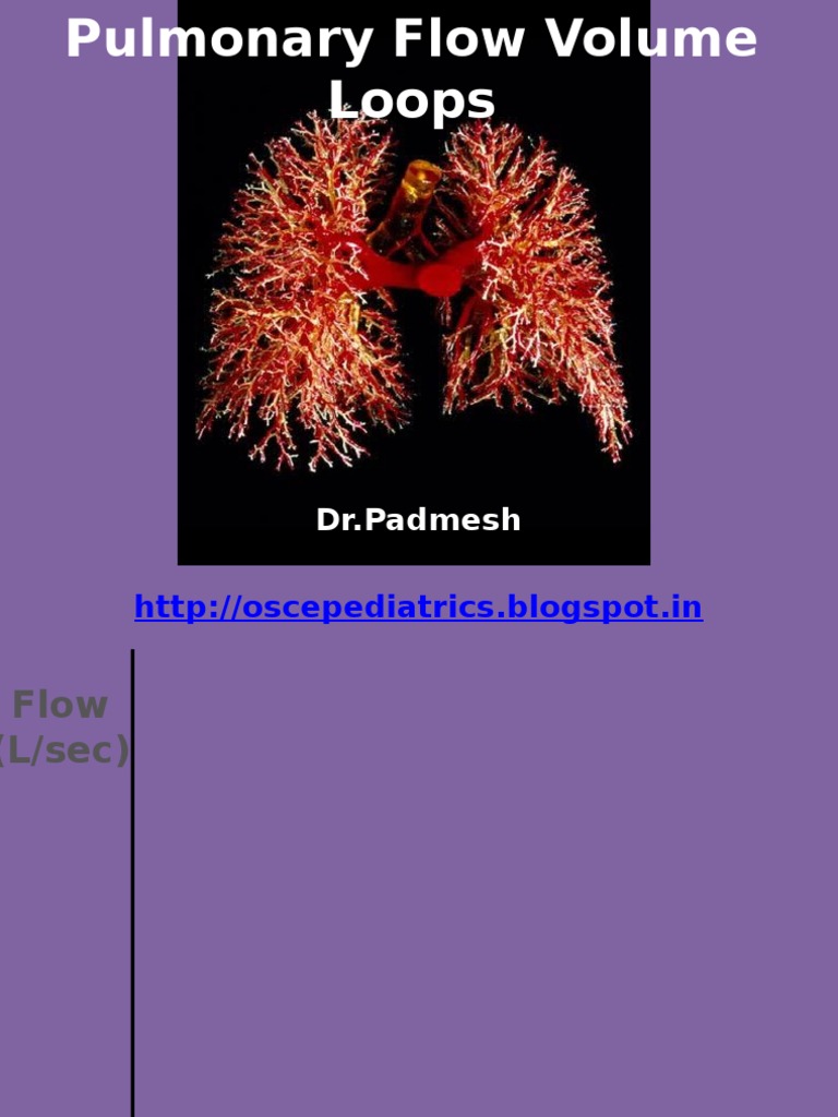 Understanding Pulmonary Flow Volume Loops | PDF | Respiratory Diseases ...