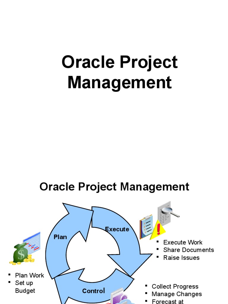 Oracle Project Management Overview | PDF | Project Management | Hierarchy